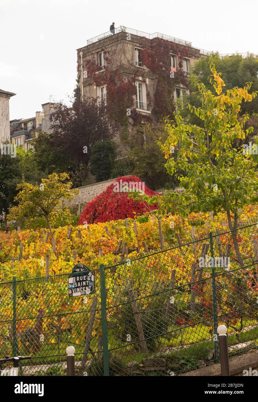City of paris vineyard hi-res stock photography and images - Alamy