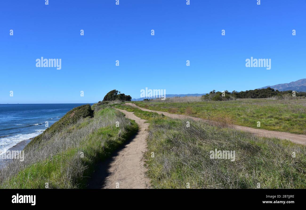 Hiking path along the top of the bluff at Ellwood Beach Stock Photo - Alamy