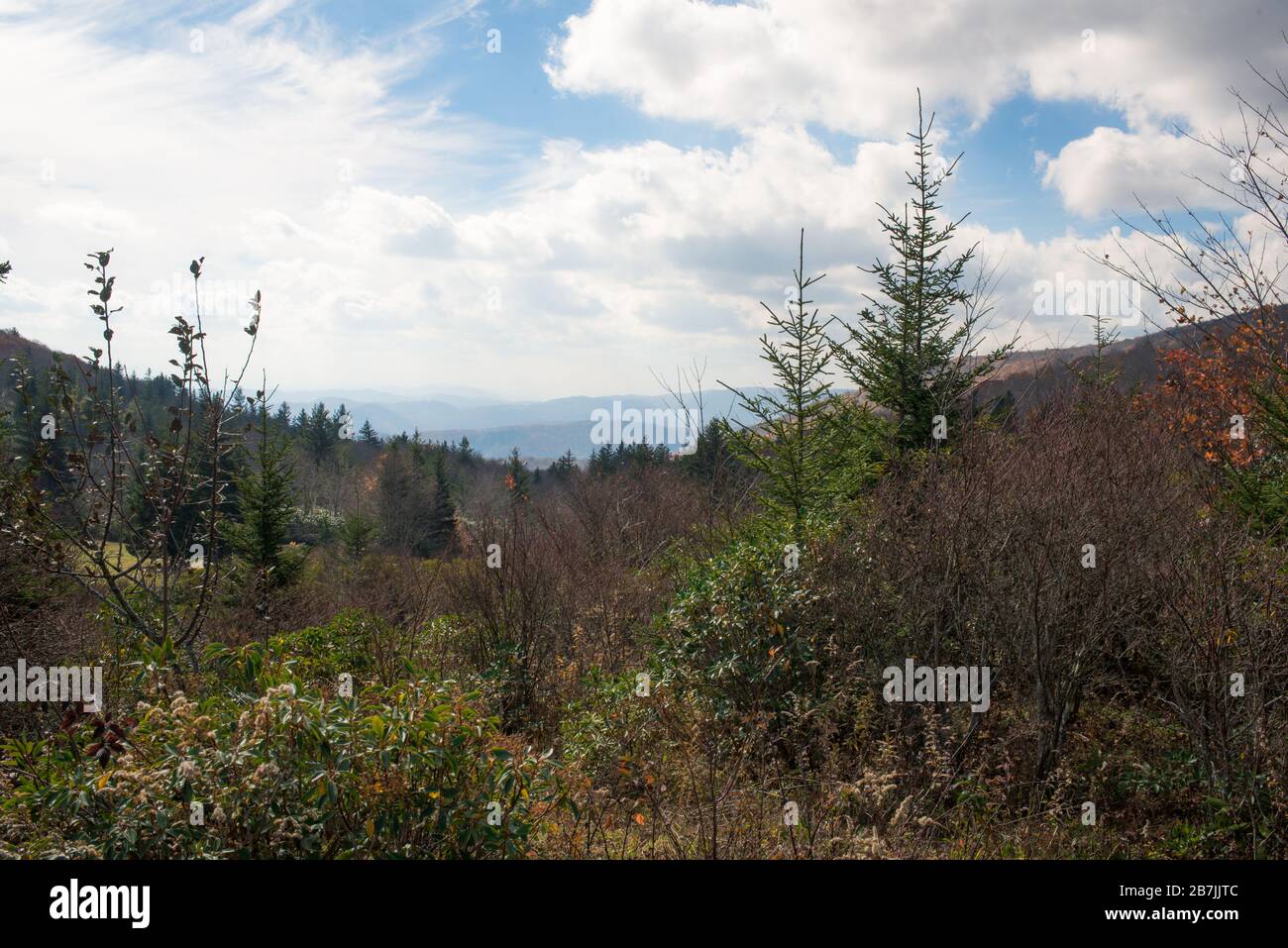 Grayson Highlands State Park is full of beautiful vistas, hiking trails ...