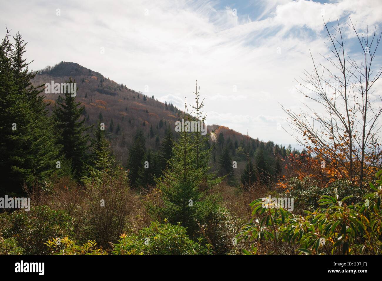 Grayson highlands state park hi-res stock photography and images - Alamy