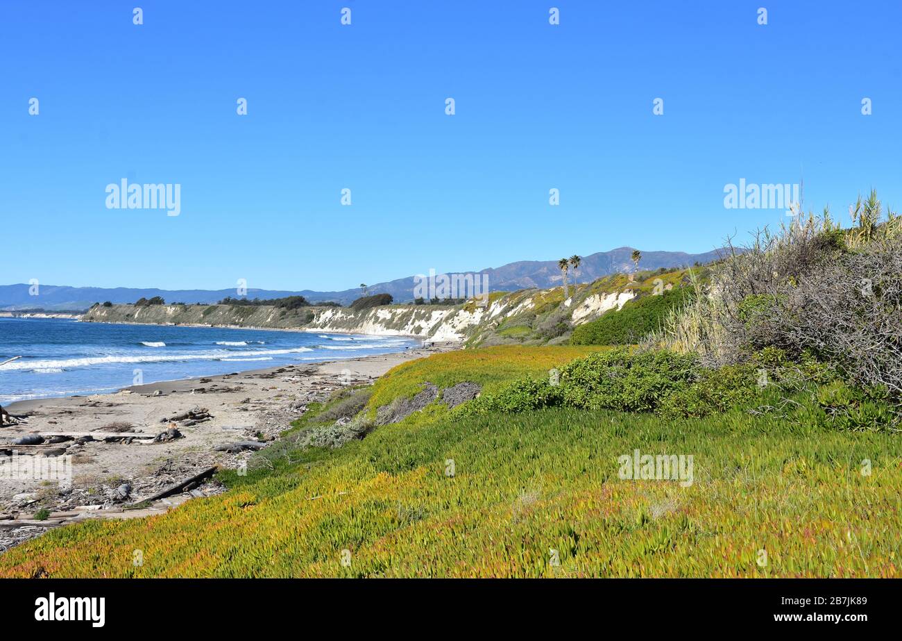Sandy beach and bluffs along the stunning shore of California Stock ...