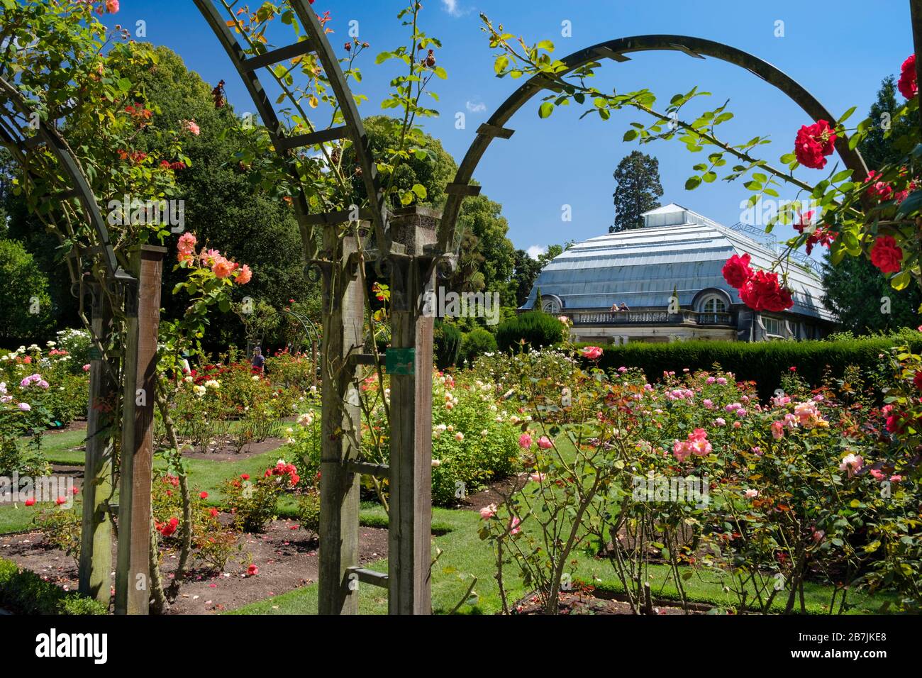 New zealand botanical gardens hi-res stock photography and images - Alamy