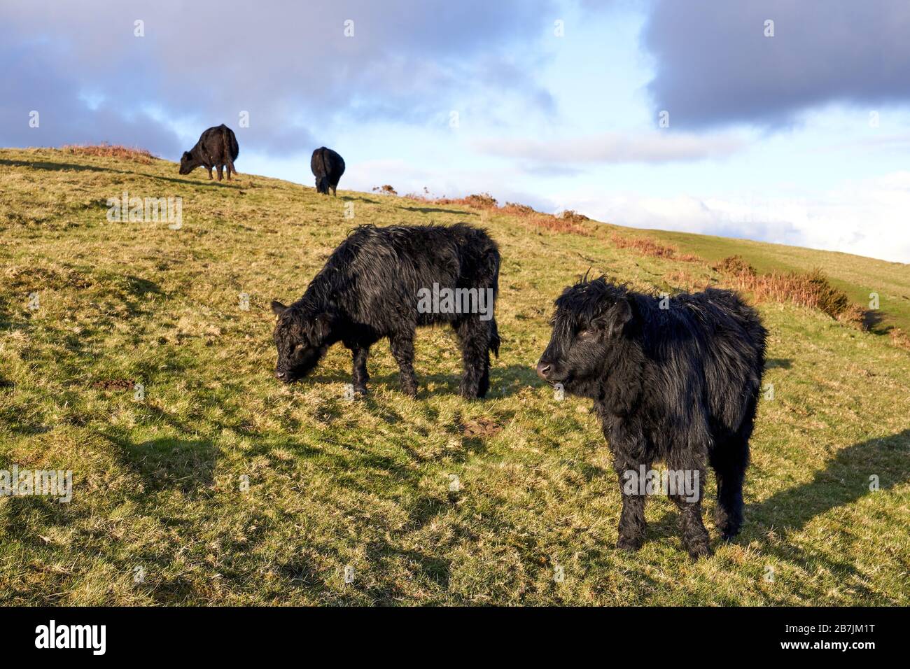 Garth mountain near cardiff hi-res stock photography and images - Alamy