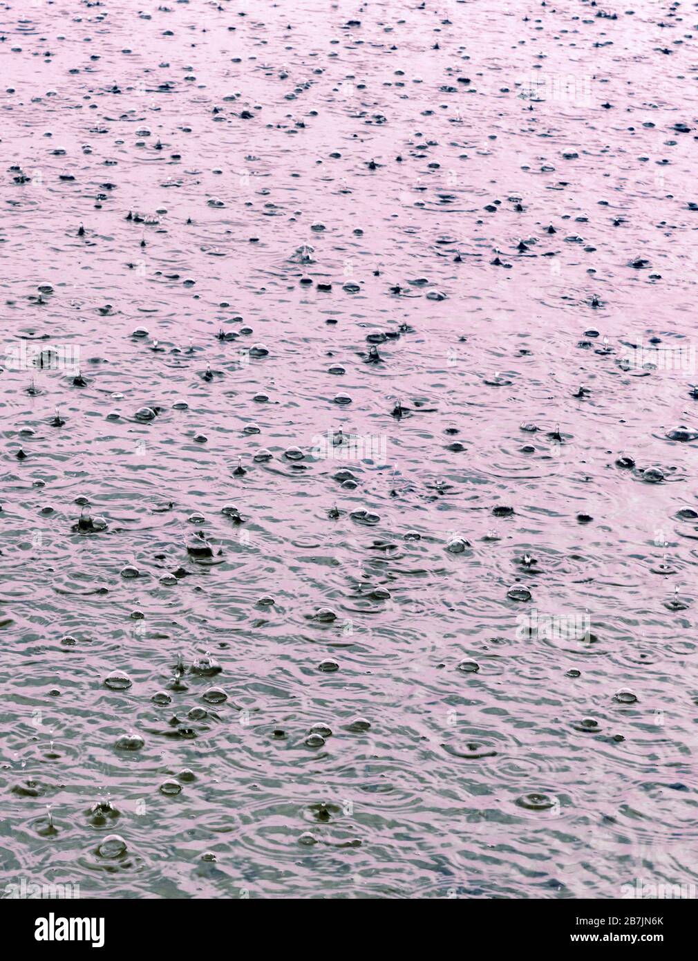 Heavy rain splashing in a puddle Stock Photo - Alamy