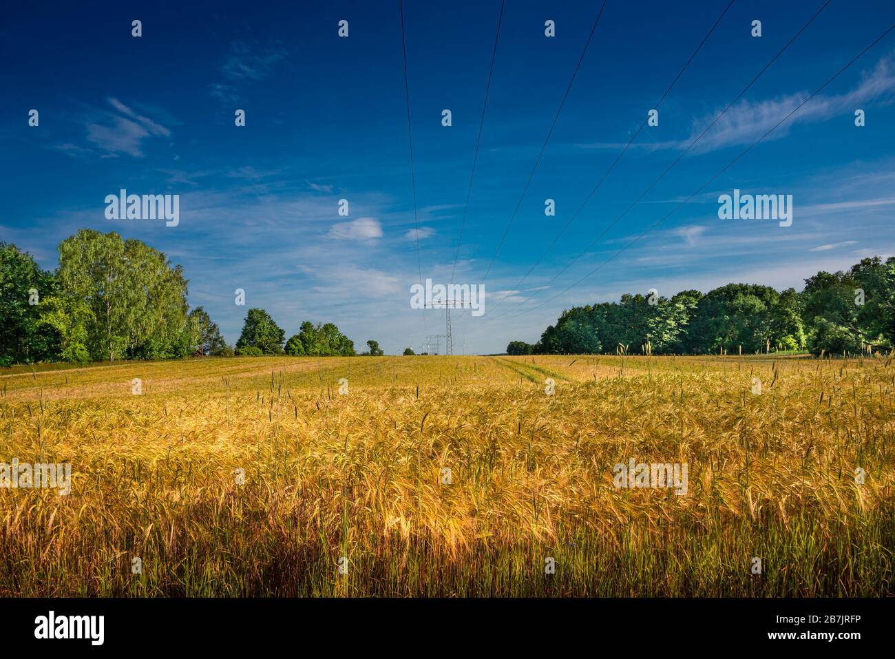 Panoramic view over beautiful green and yellow farm landscape with ...