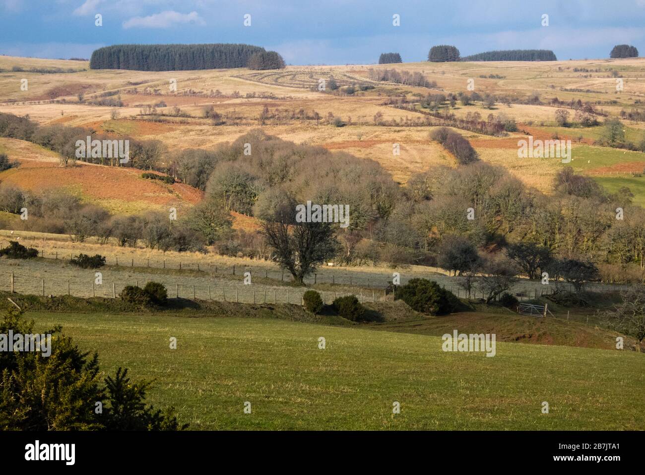 Rewilding farming hi-res stock photography and images - Alamy