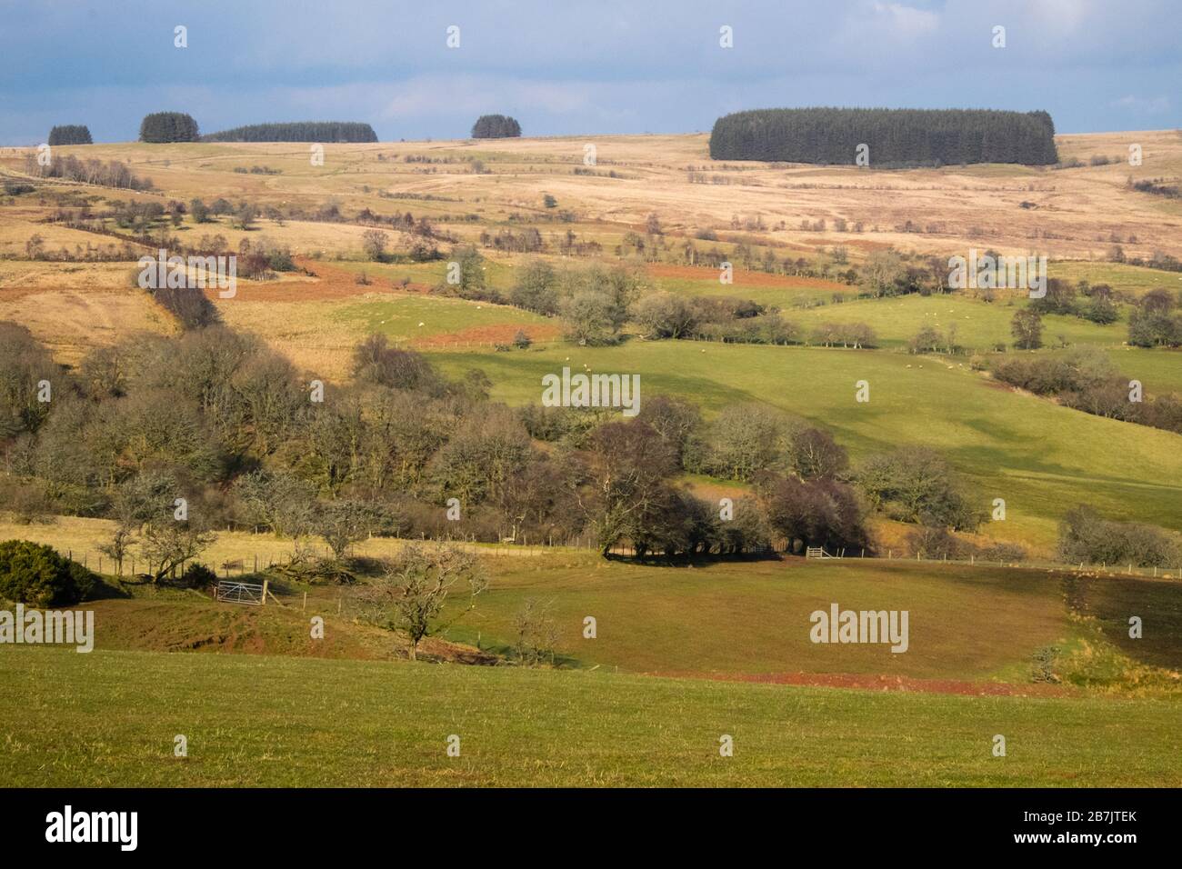 Deforestation landscape hi-res stock photography and images - Alamy