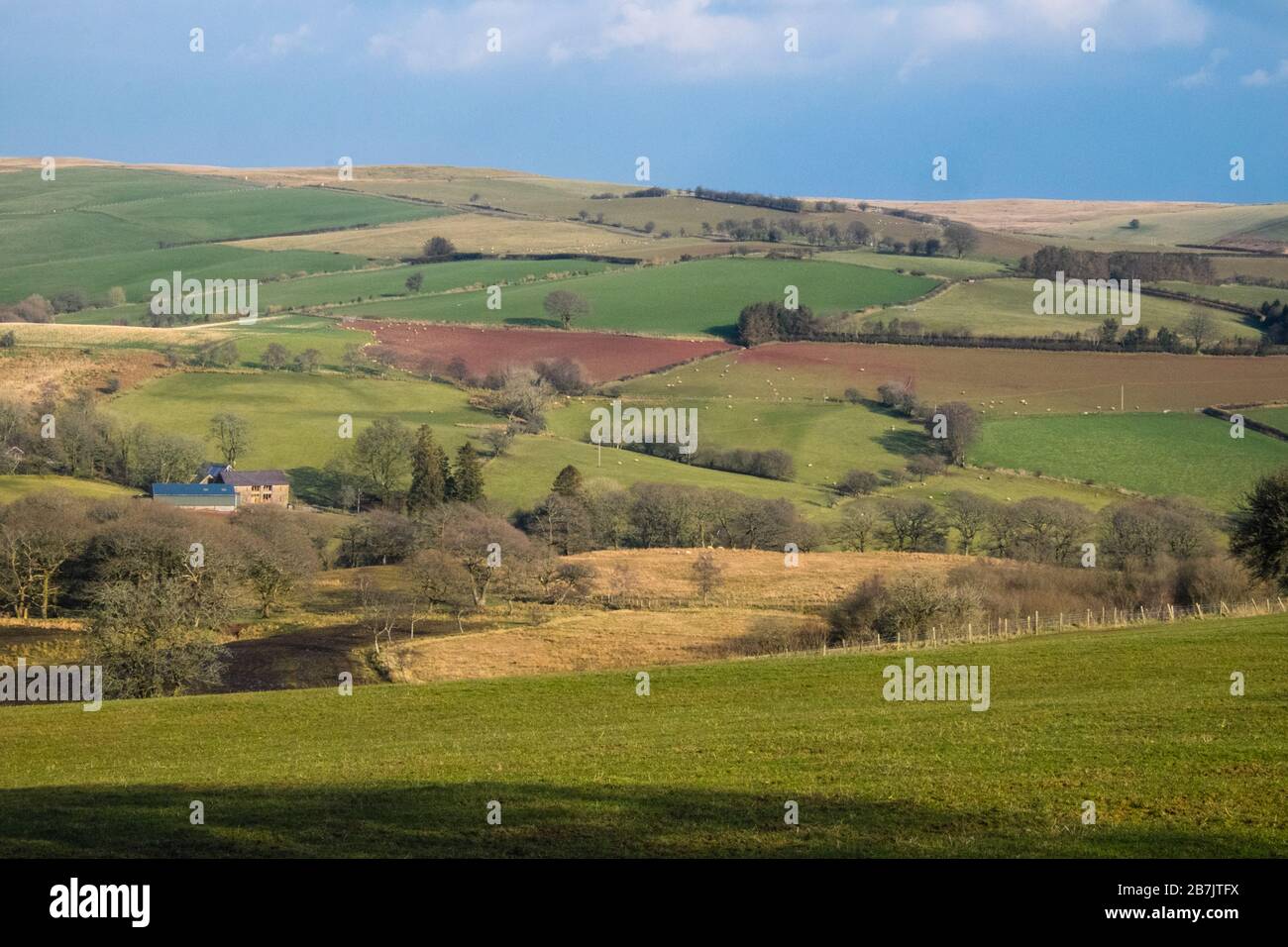 Uk rewilding farm hi-res stock photography and images - Alamy