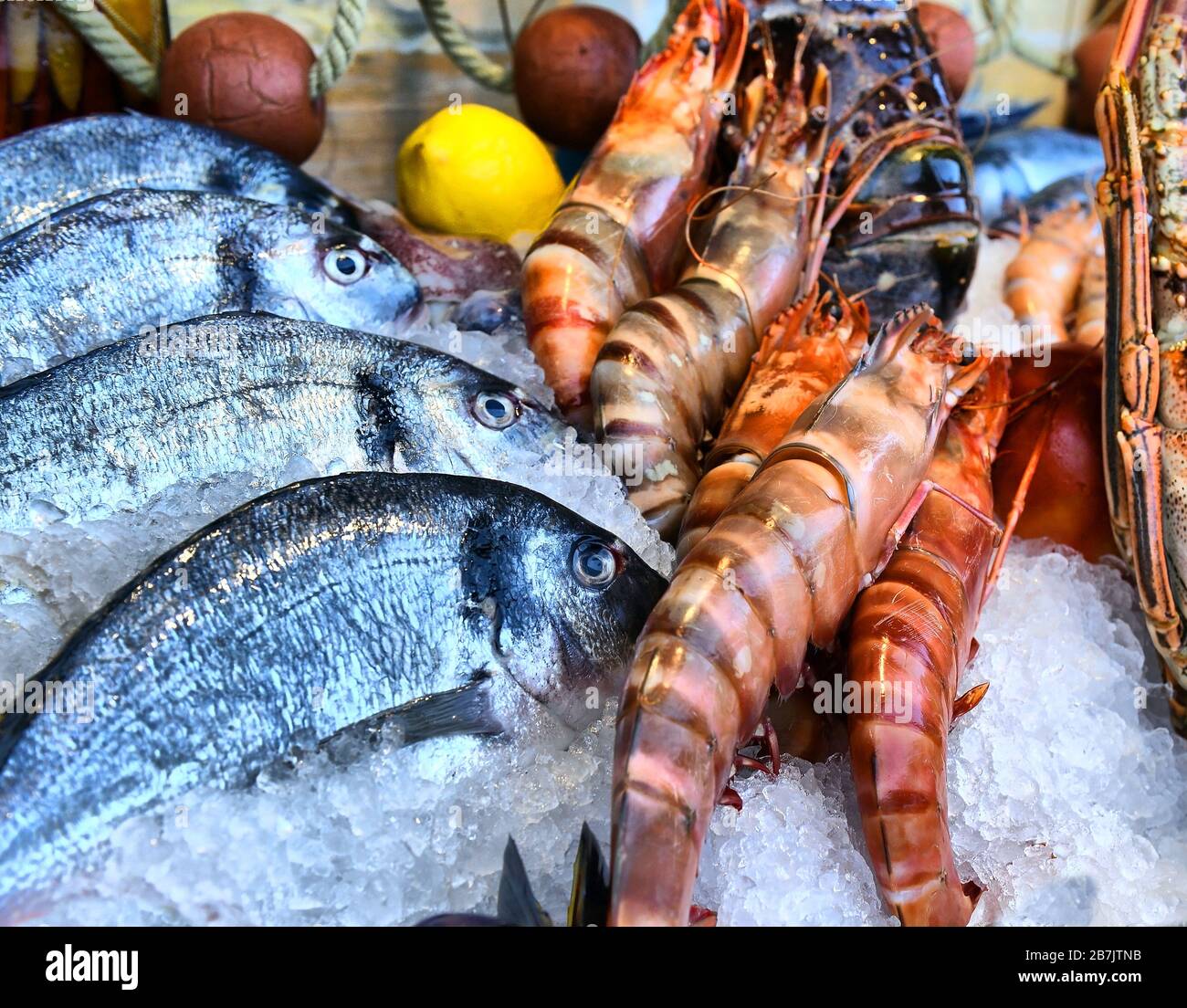 Fresh fish and prawns on display at a fish mongers Stock Photo - Alamy