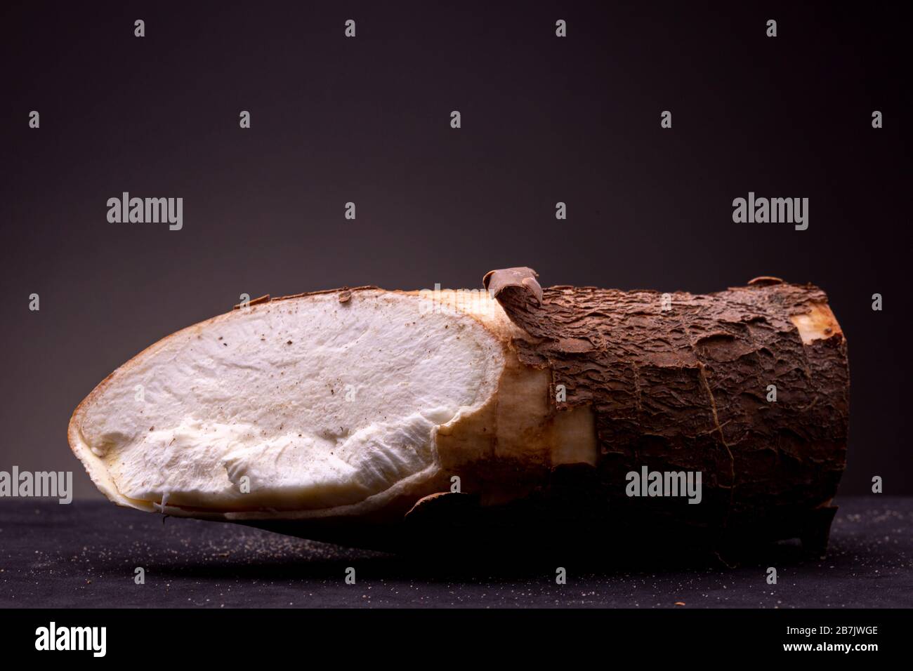 Edible Casava root with brown textured bark brightly lit in studio ...