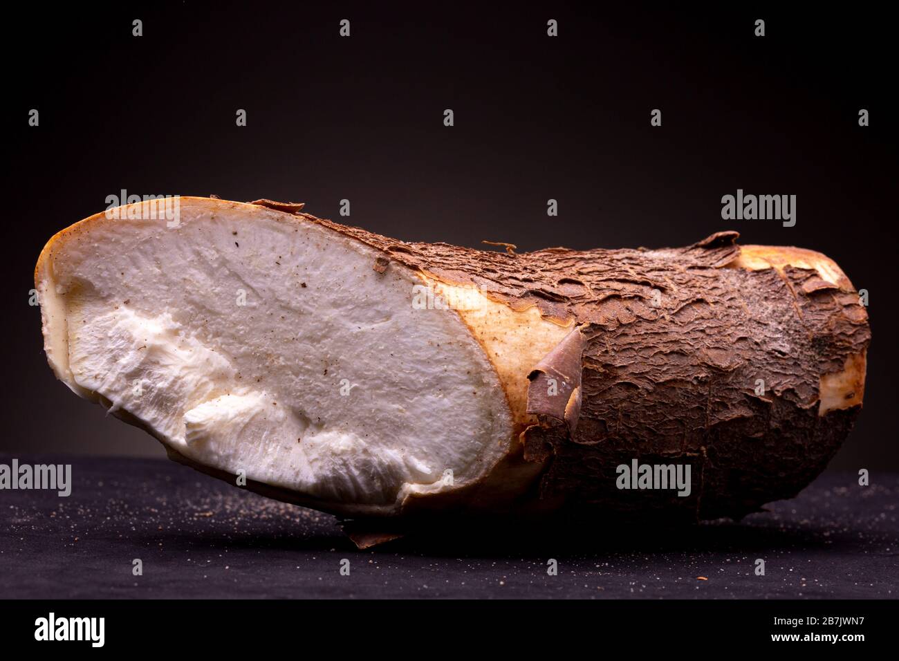 Brightly lit studio shot of edible Casava root with brown textured bark ...