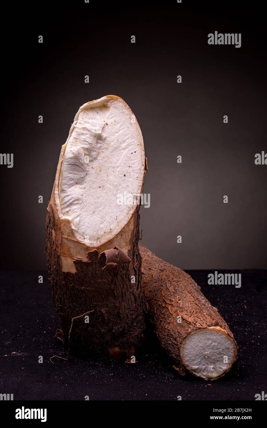 Edible unprepared Cassava root standing upright with another laying ...