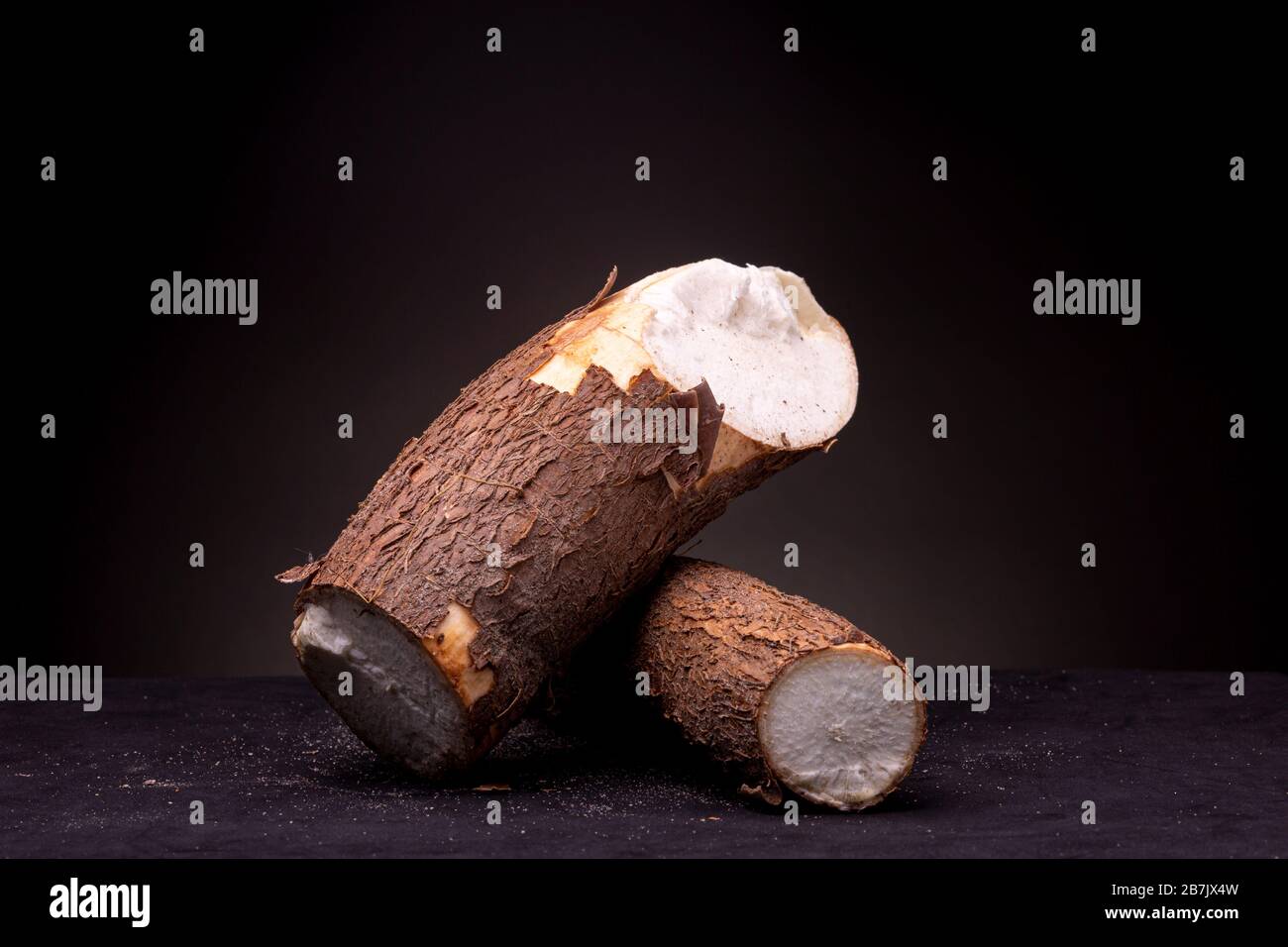 Shrubs of edible unprepared Cassava roots with brown textured bark ...