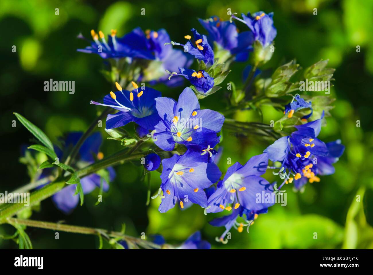 Beautiful jacobs ladder hi-res stock photography and images - Alamy