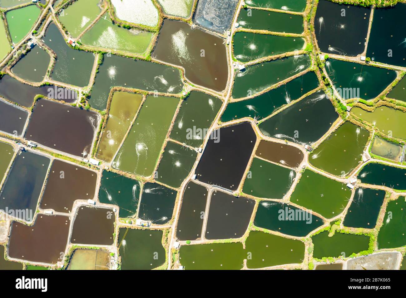 aerial view of fish farm and coast . Taiwan Stock Photo - Alamy