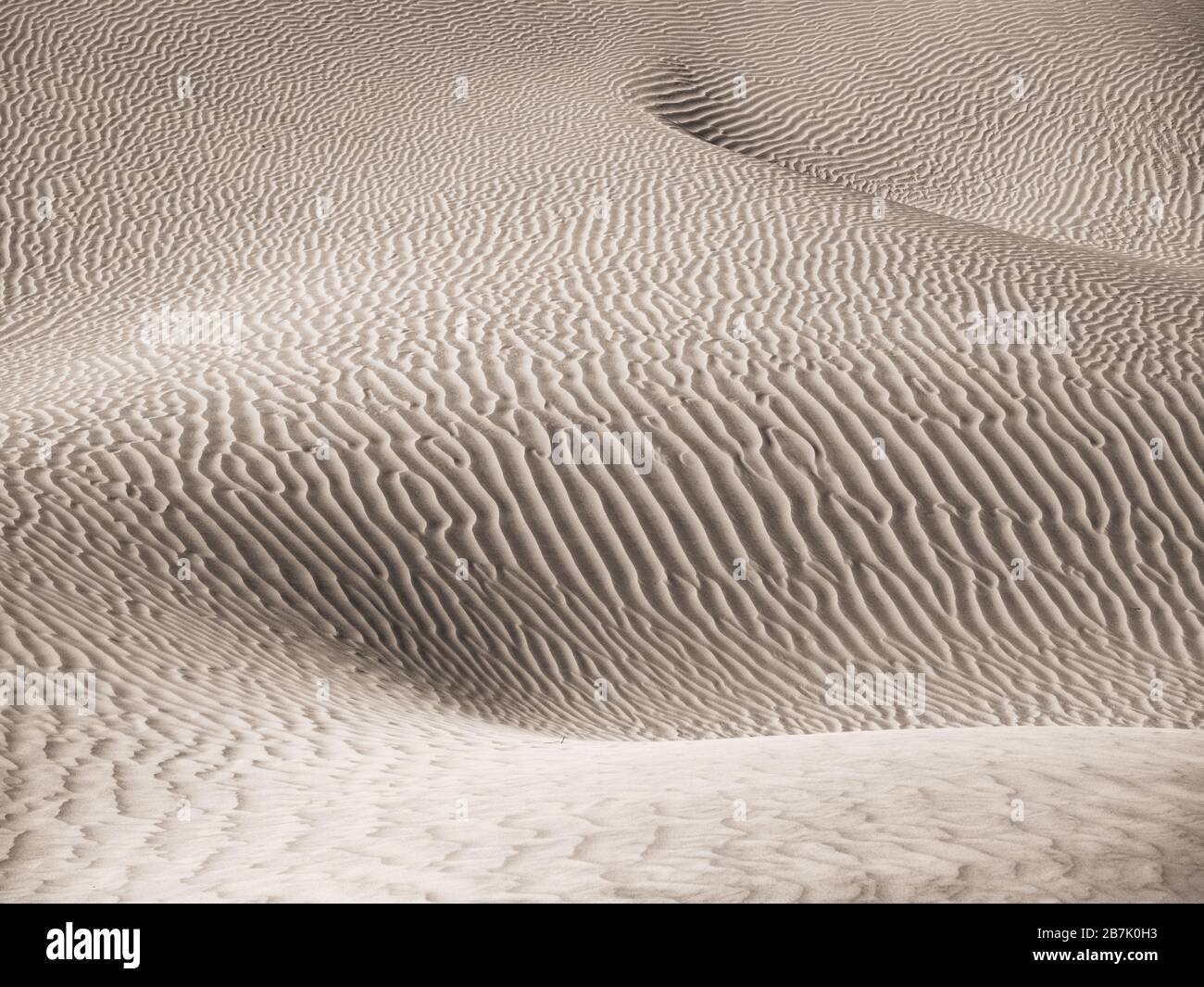 Irregular wavy pattern drawn by wind over sandy desert dunes, black and ...