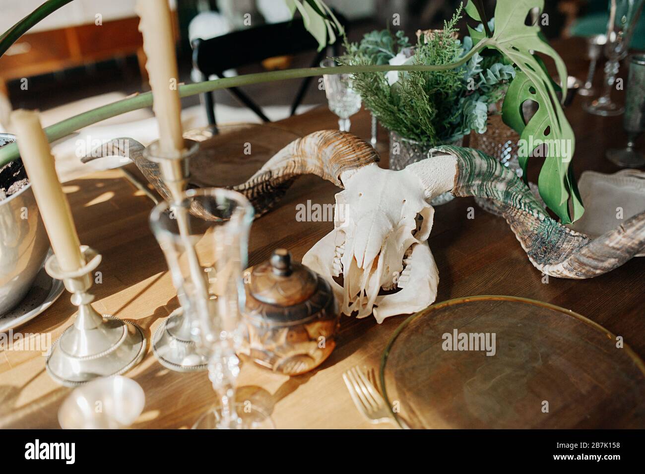 Table setting in a mystical occult style. An animal skull with horns ...