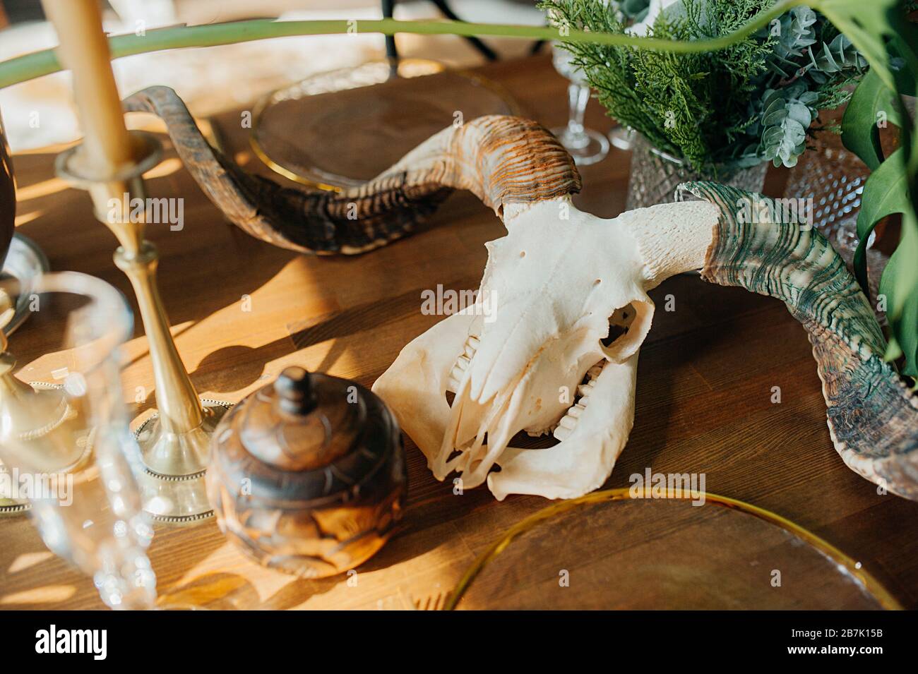 Table setting in a mystical occult style. An animal skull with horns ...