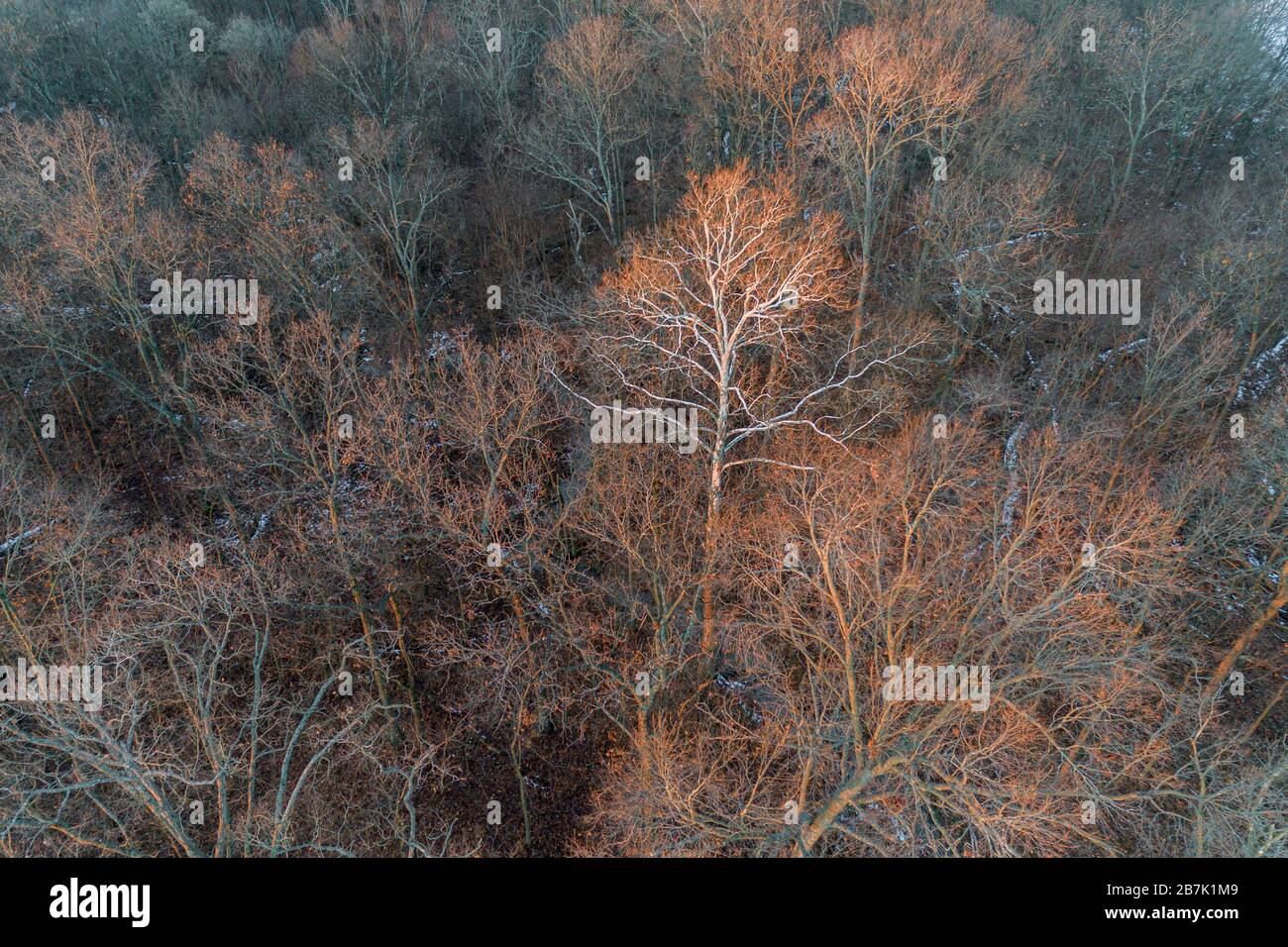 Sycamore illinois hi-res stock photography and images - Alamy