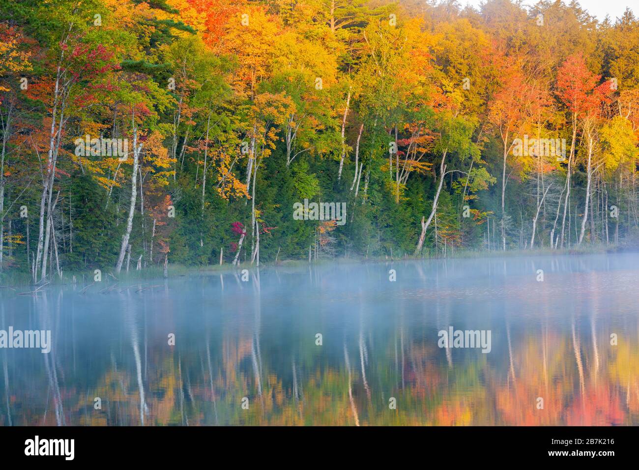 Of council lake hi-res stock photography and images - Alamy