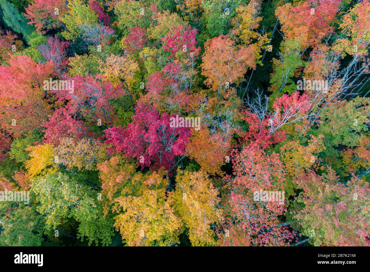 Hugoboom hi-res stock photography and images - Alamy