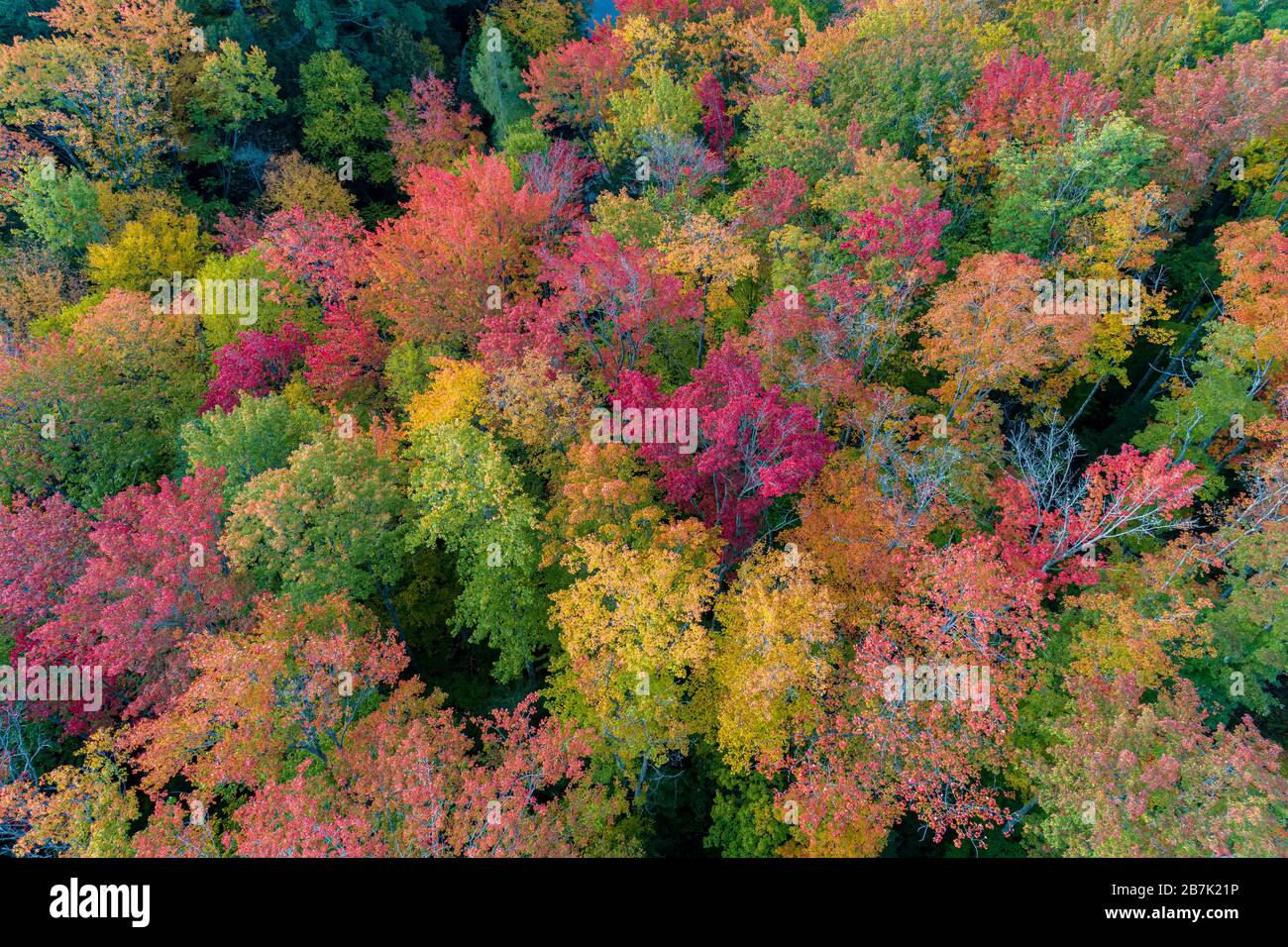 Hugoboom hi-res stock photography and images - Alamy