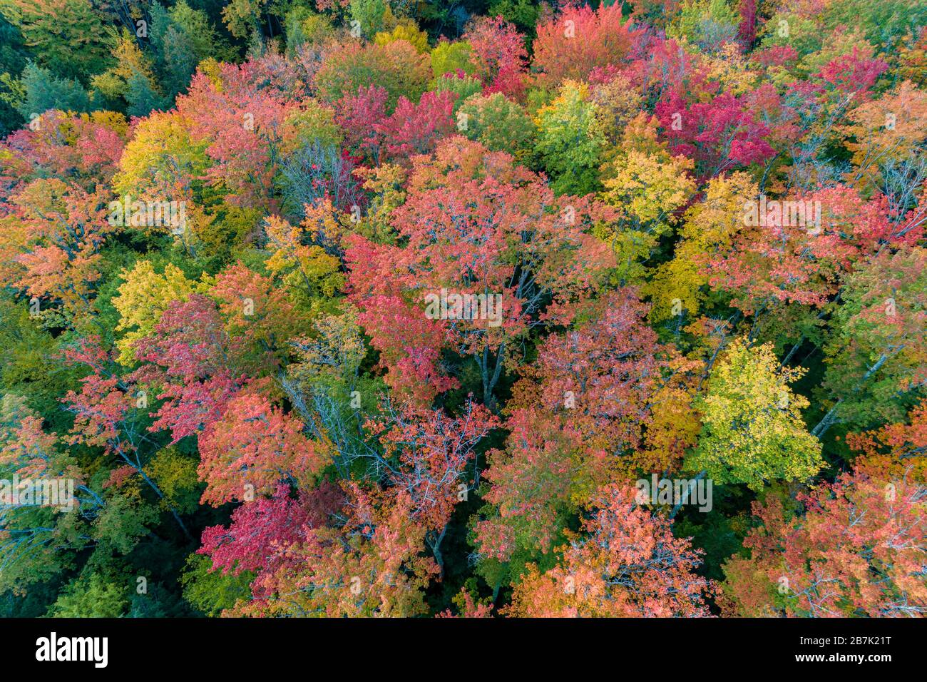 Hugoboom hi-res stock photography and images - Alamy