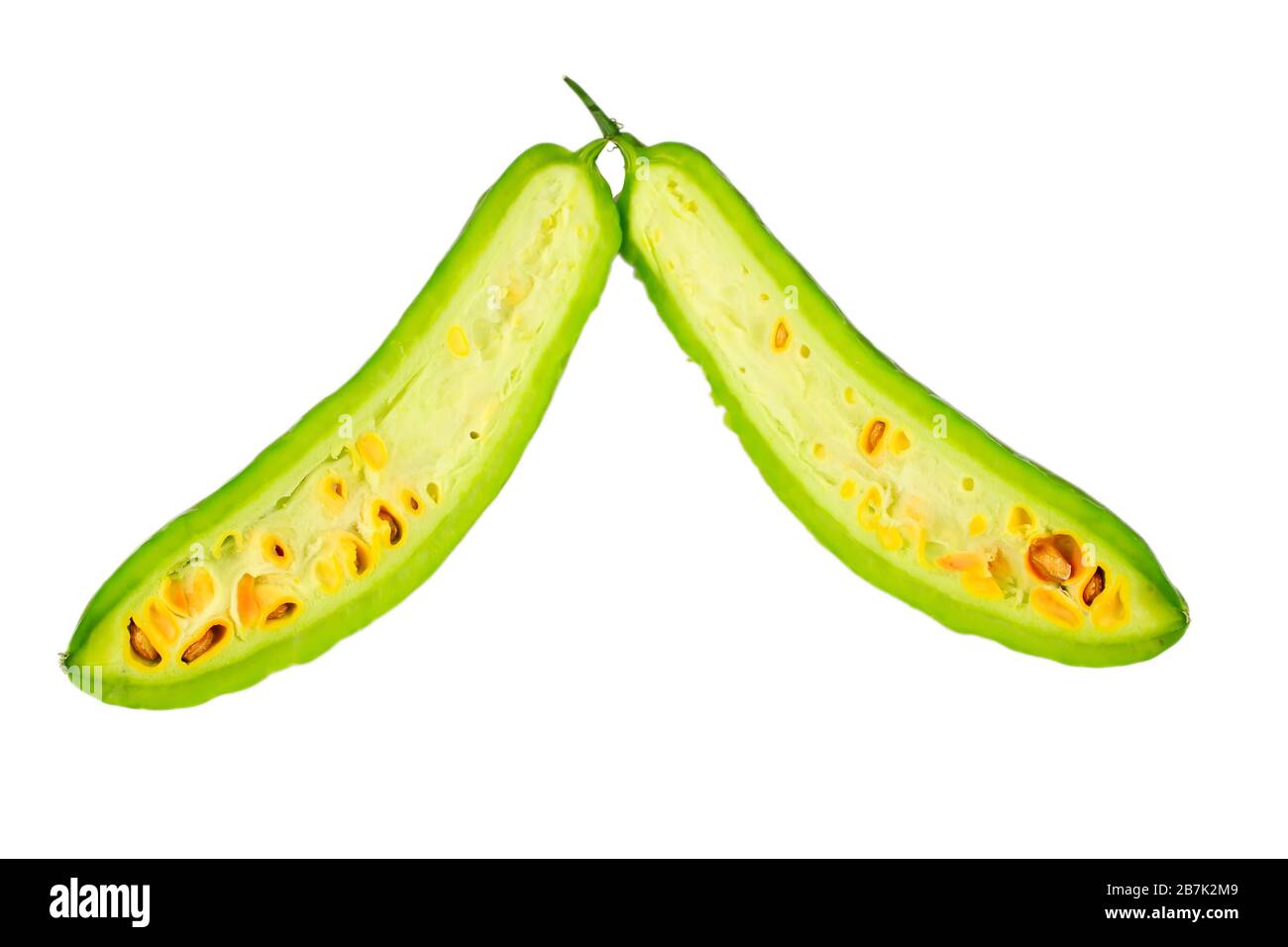 Balsam plants Cut Out Stock Images & Pictures - Alamy