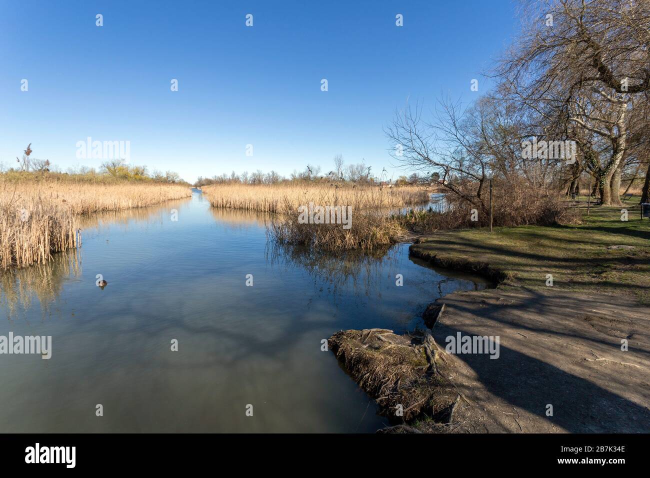 Floating swamp trail in Szigetszentmiklos, Hungary in March Stock Photo ...