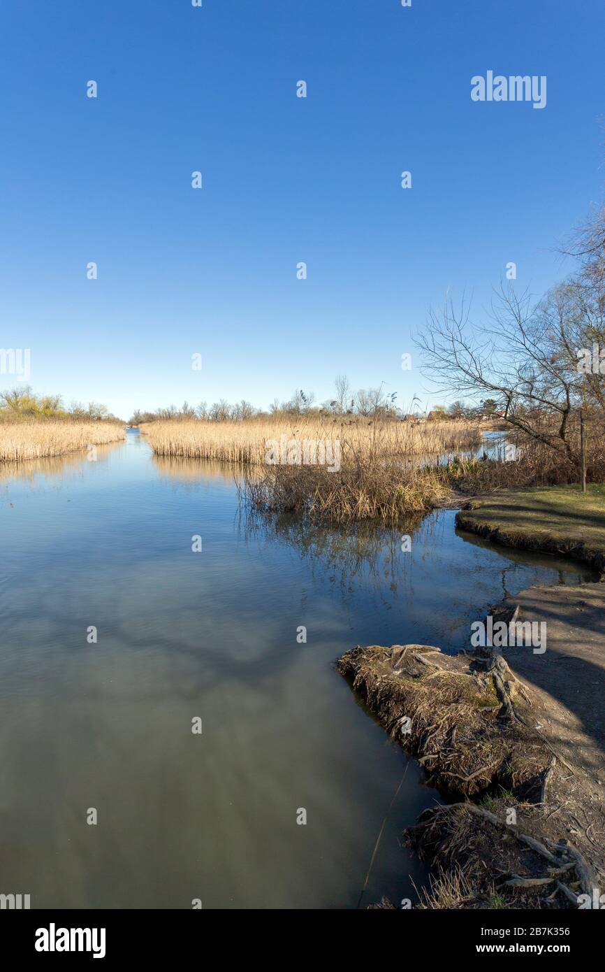 Floating swamp trail in Szigetszentmiklos, Hungary in March Stock Photo ...