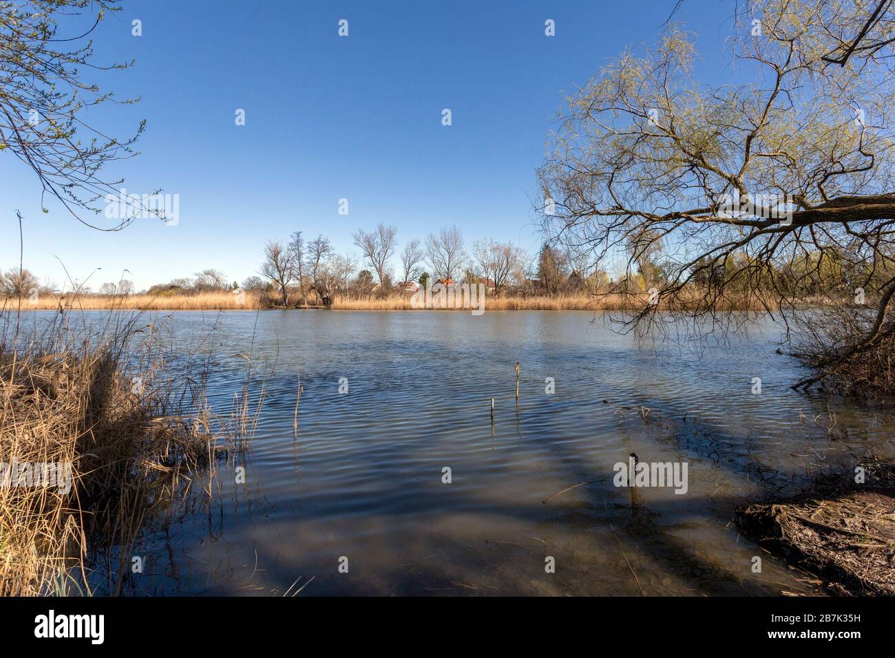 Floating swamp trail in Szigetszentmiklos, Hungary in March Stock Photo ...