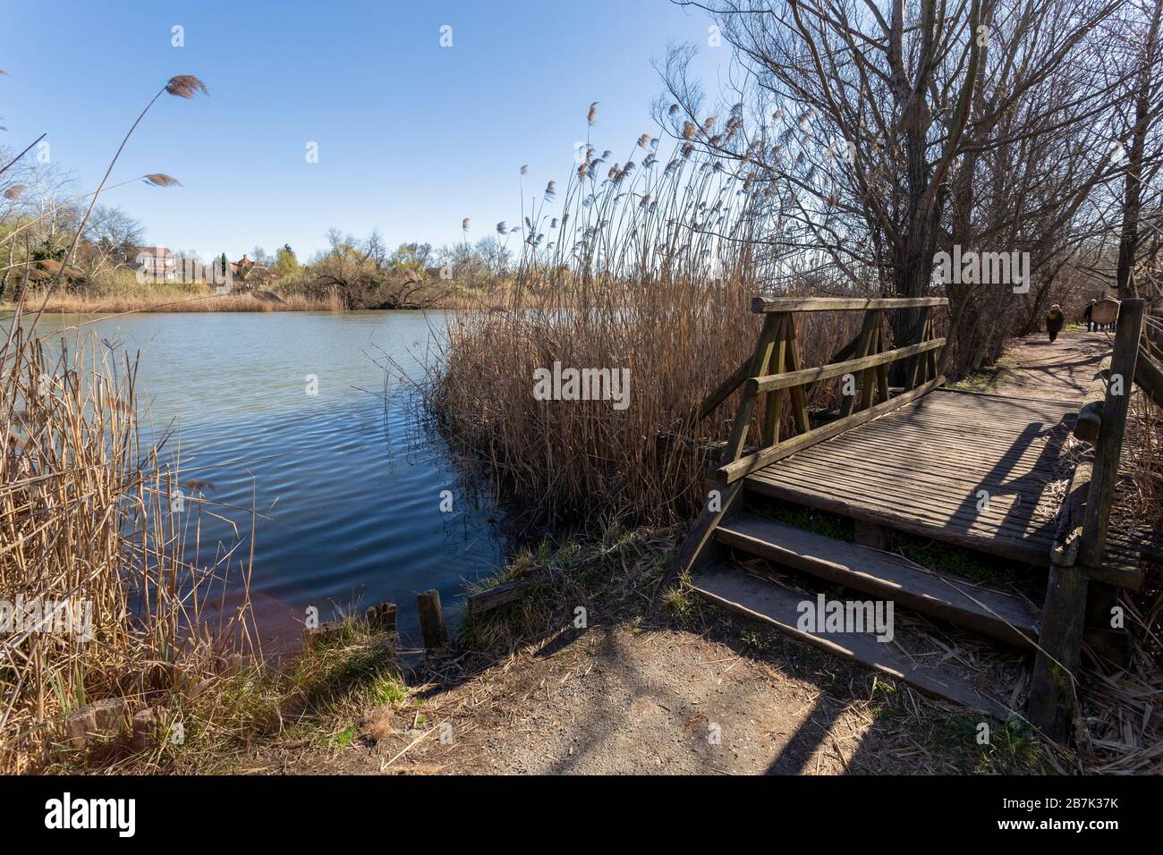 Floating swamp trail in Szigetszentmiklos, Hungary in March Stock Photo ...