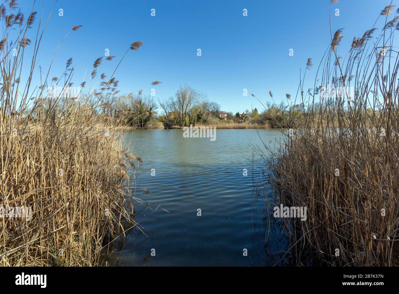 Floating swamp trail in Szigetszentmiklos, Hungary in March Stock Photo ...