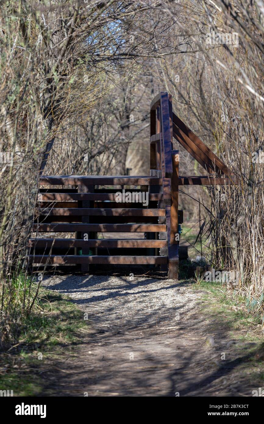Floating swamp trail in Szigetszentmiklos, Hungary in March Stock Photo ...