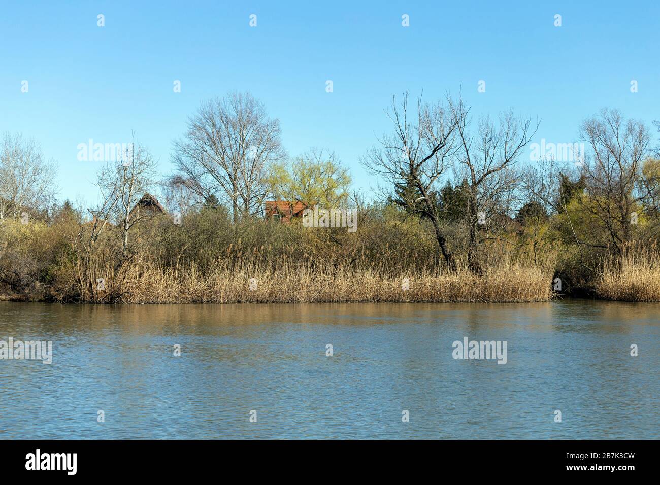 Floating swamp trail in Szigetszentmiklos, Hungary in March Stock Photo ...