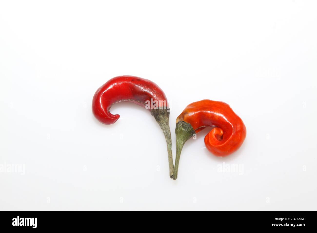 two red peppers in the white background Stock Photo - Alamy