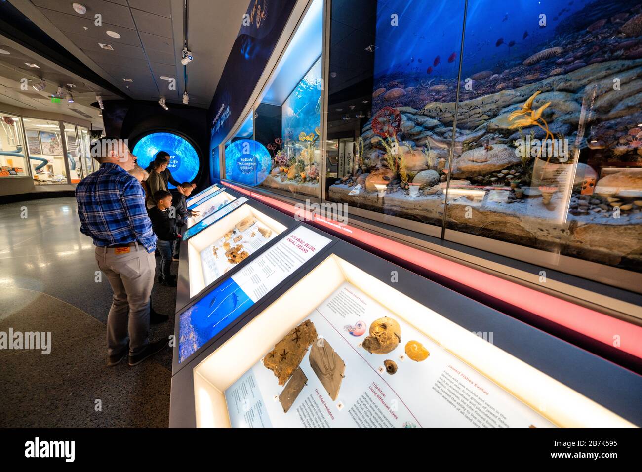 WASHINGTON DC — Visitors explore a prehistoric underwater life exhibit ...