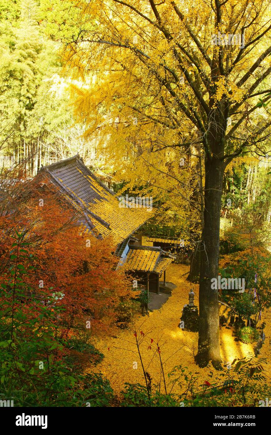 Kouhei temple hi-res stock photography and images - Alamy