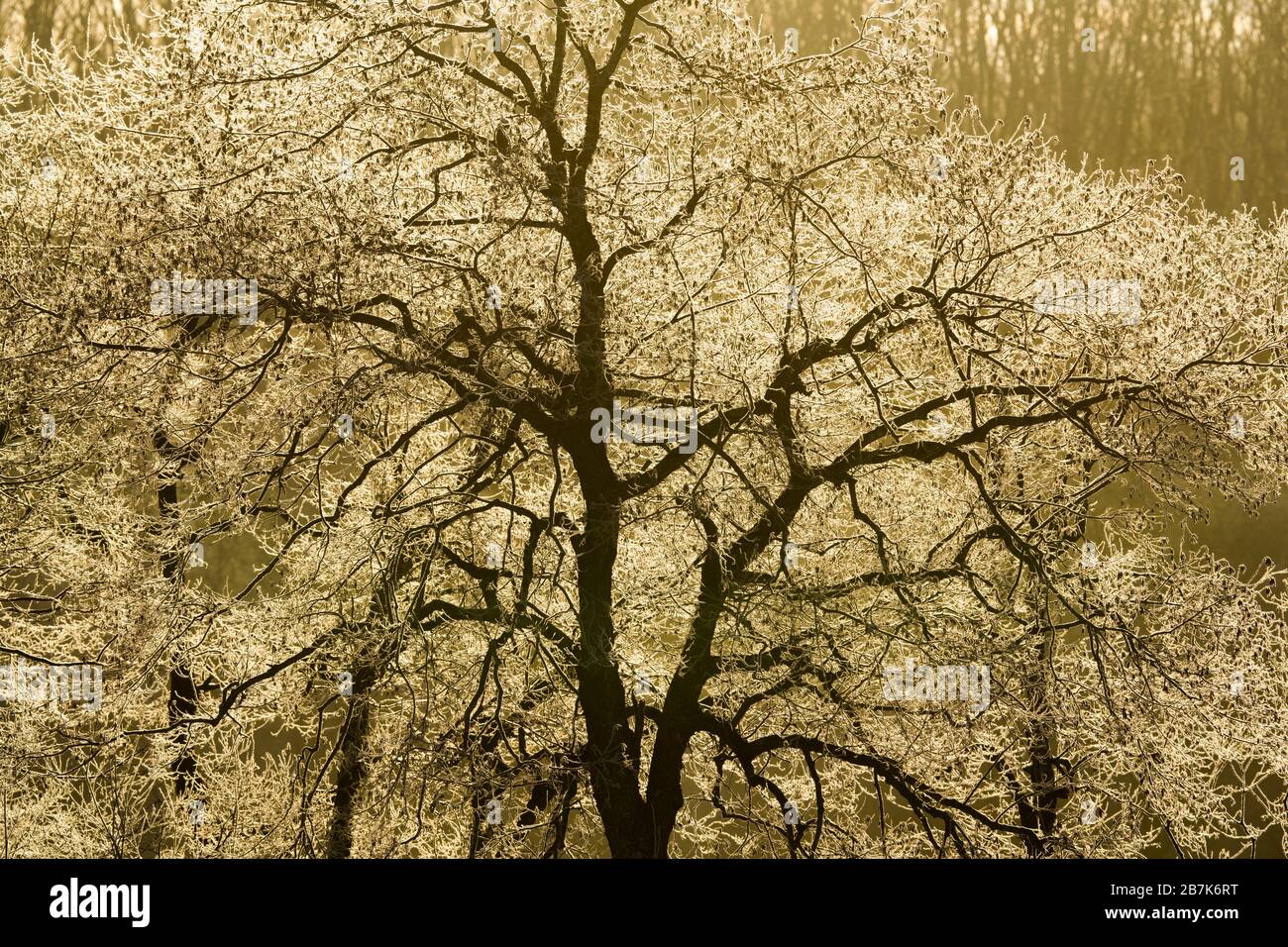 Rime japan hi-res stock photography and images - Alamy