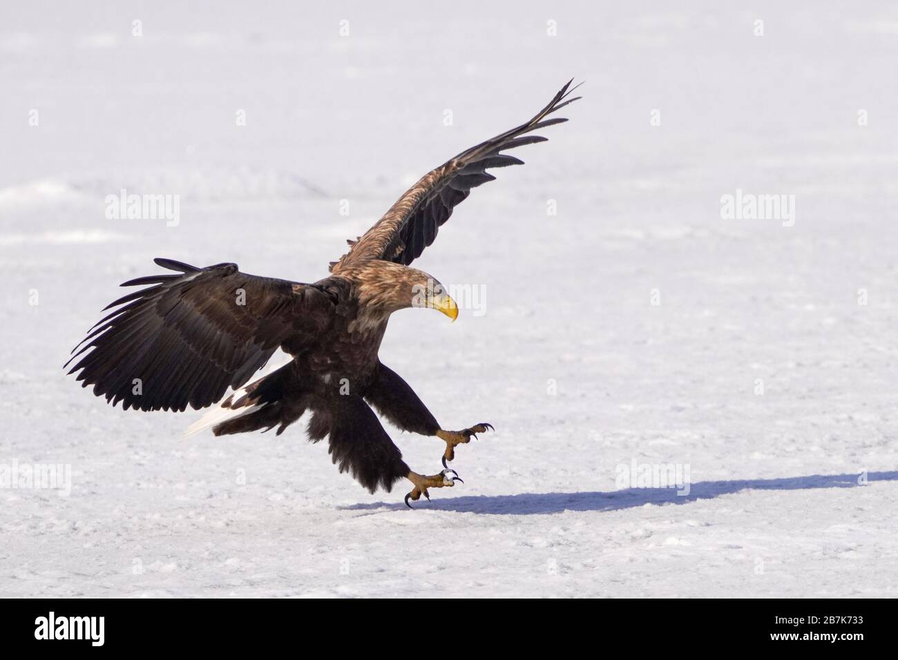 Hokkaido furen lake hi-res stock photography and images - Alamy