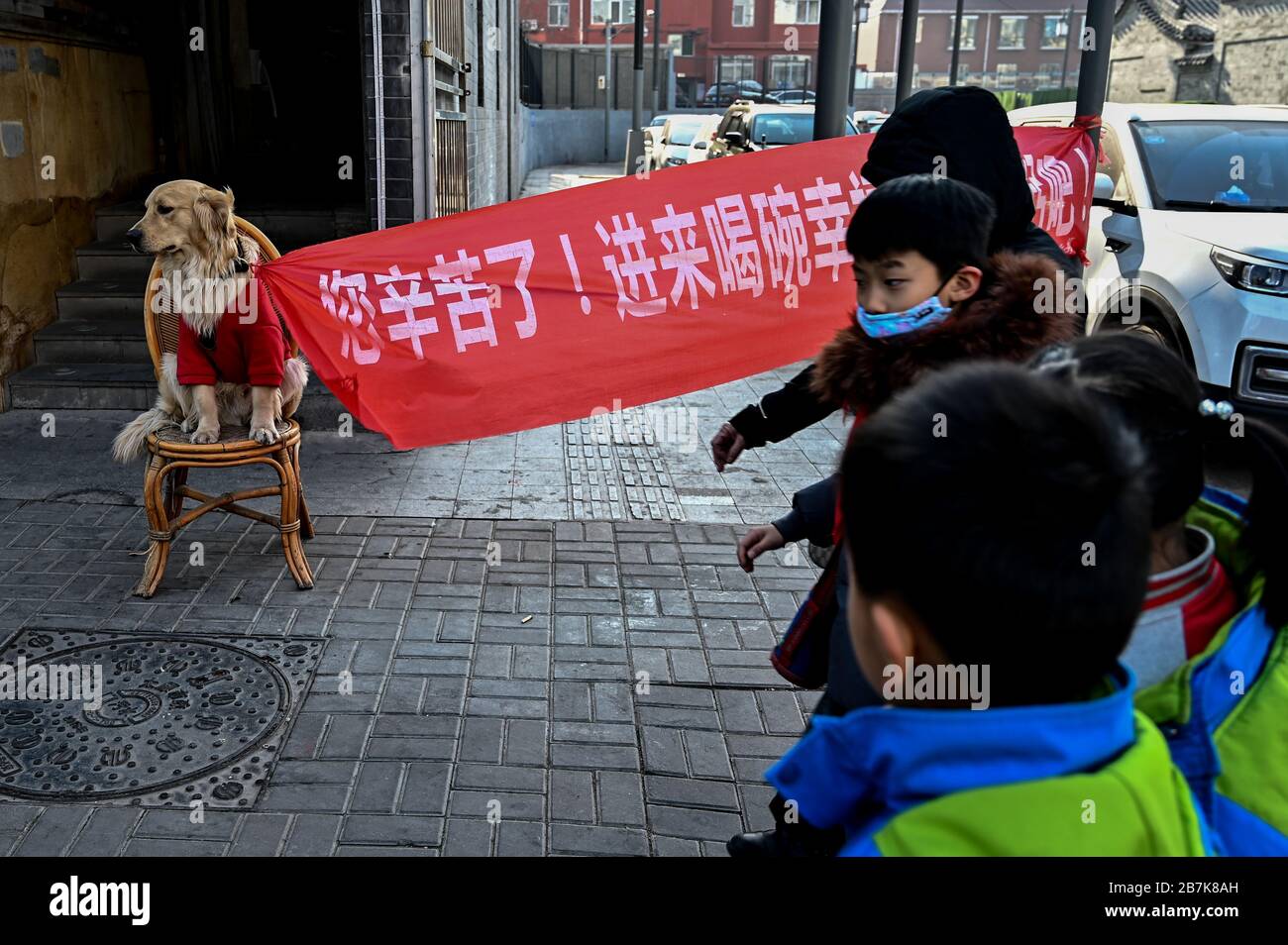 Kids look at a "dog server" sitting on a chair with a banner to attract ...