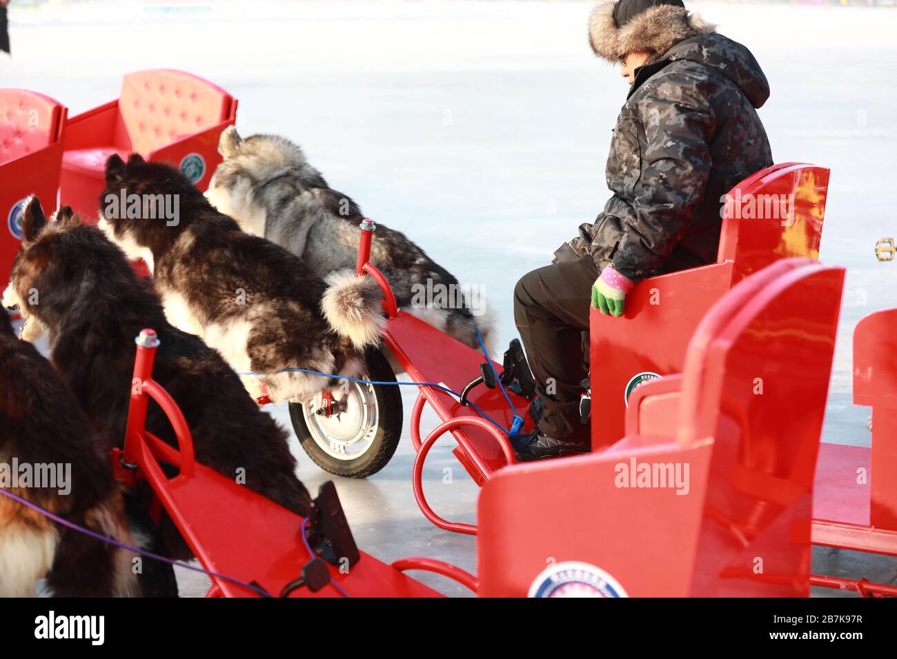 Fake dogs hi-res stock photography and images - Alamy