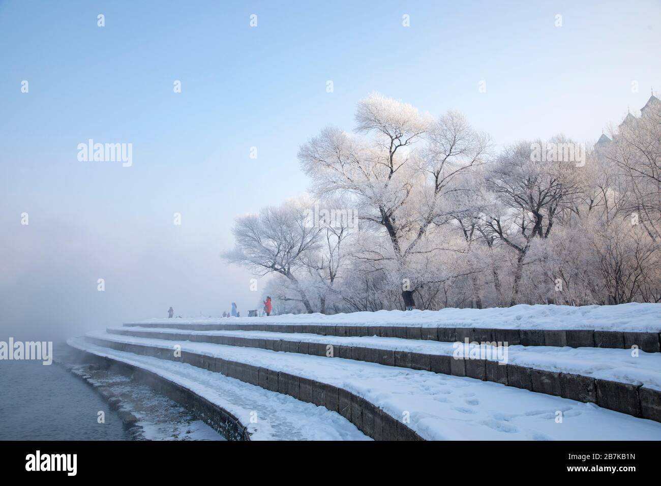Rime ice, which forms when supercooled water liquid droplets freeze ...