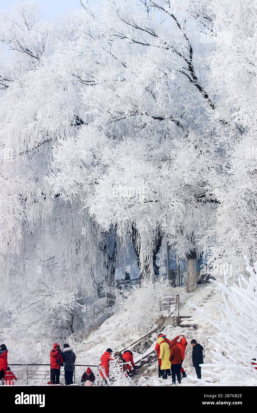 Rime ice, which forms when supercooled water liquid droplets freeze ...