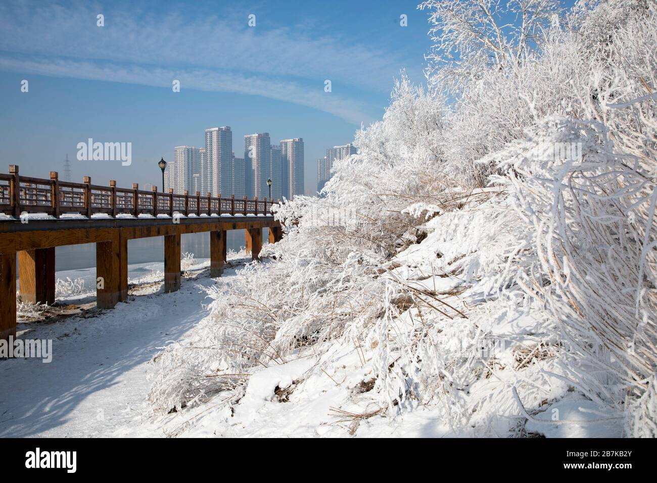 Rime ice, which forms when supercooled water liquid droplets freeze ...