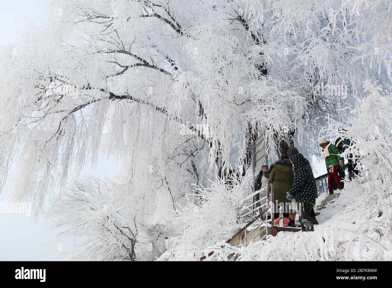 Rime ice, which forms when supercooled water liquid droplets freeze ...