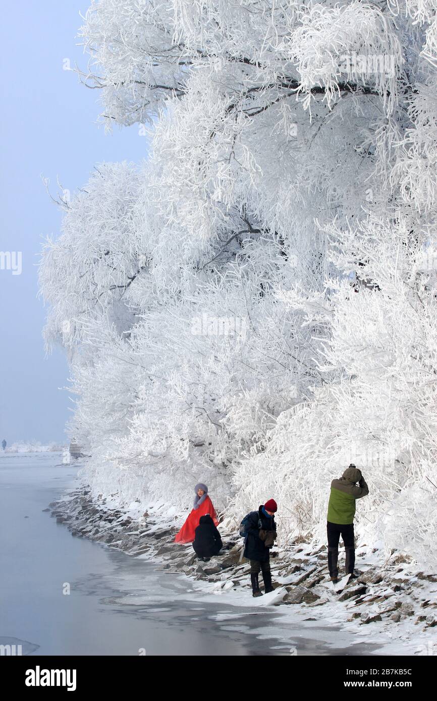 Rime ice, which forms when supercooled water liquid droplets freeze ...