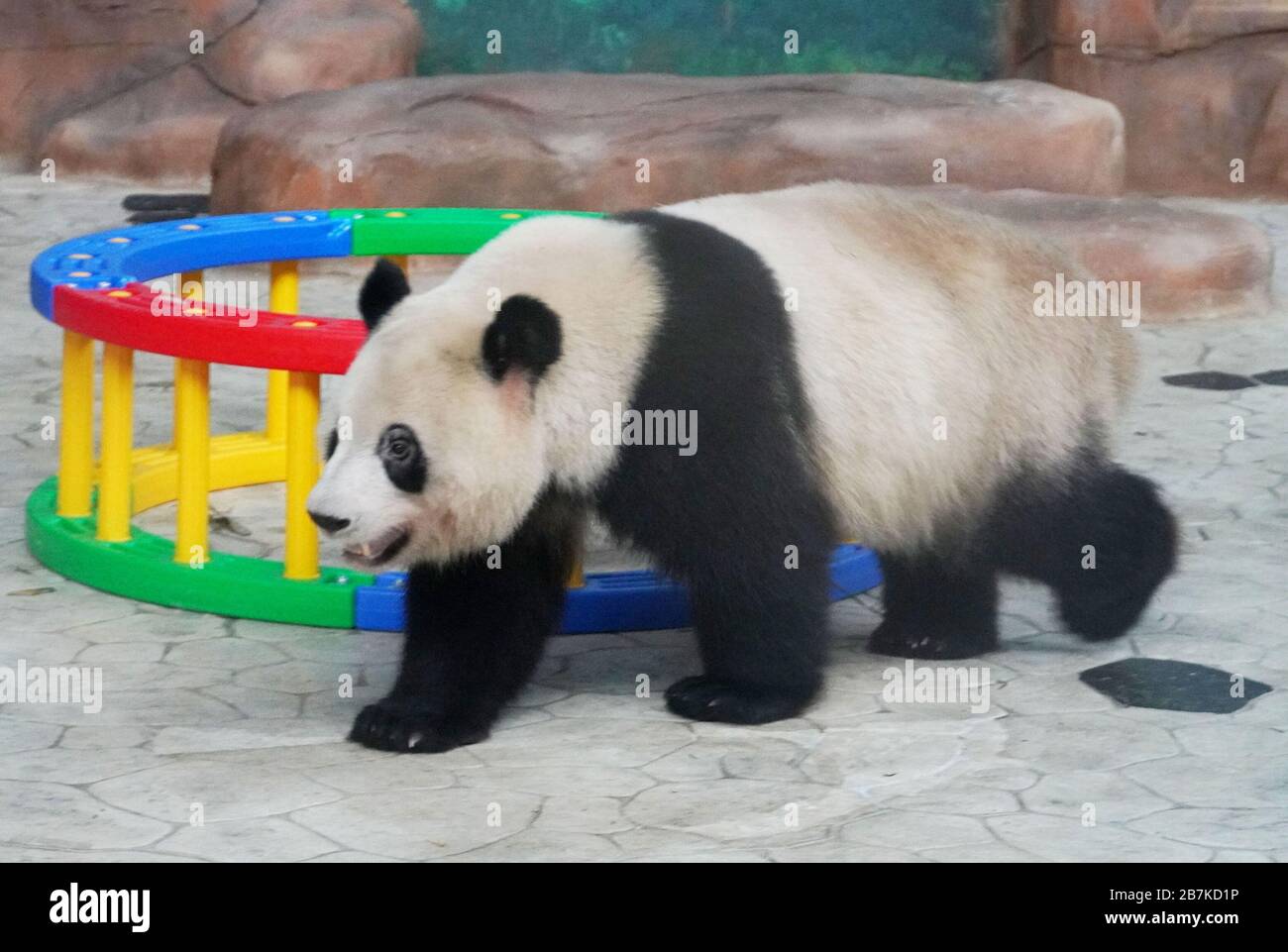 Ji lan hi-res stock photography and images - Alamy