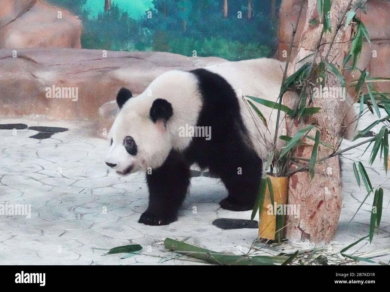 Ji lan hi-res stock photography and images - Alamy