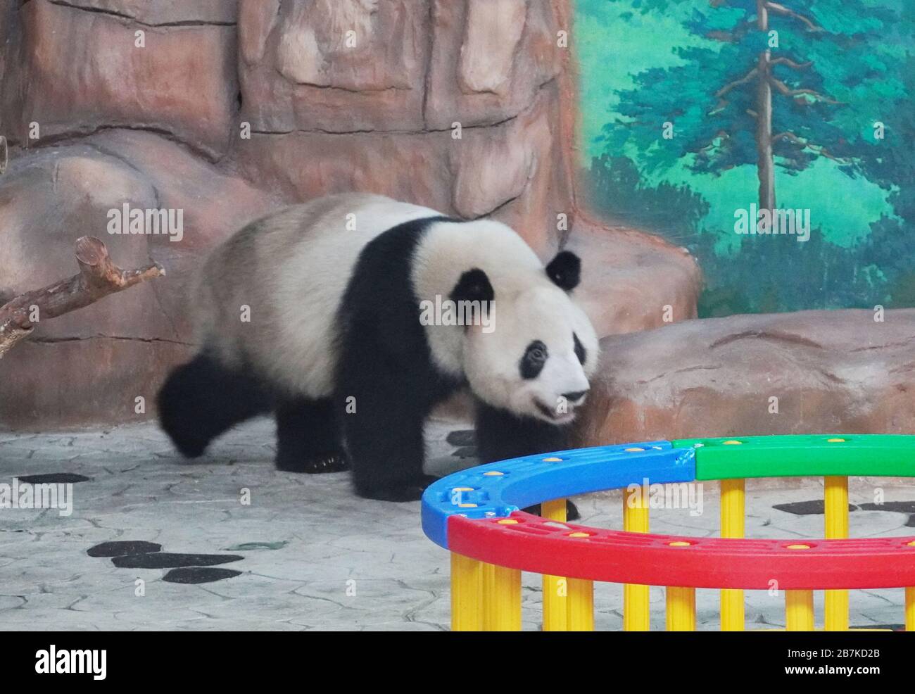 Ji lan hi-res stock photography and images - Alamy